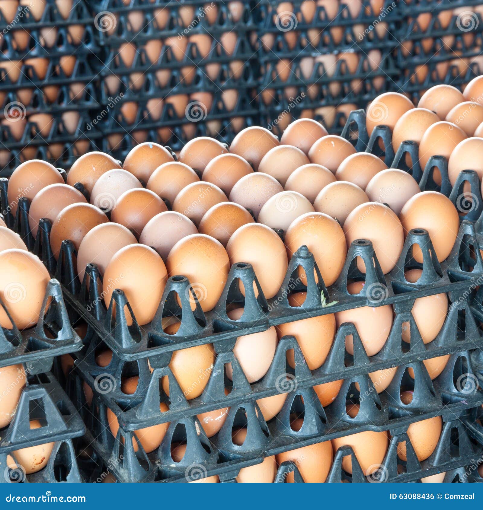 Eggs from Chicken Farm in the Package Stock Photo - Image of breakfast ...