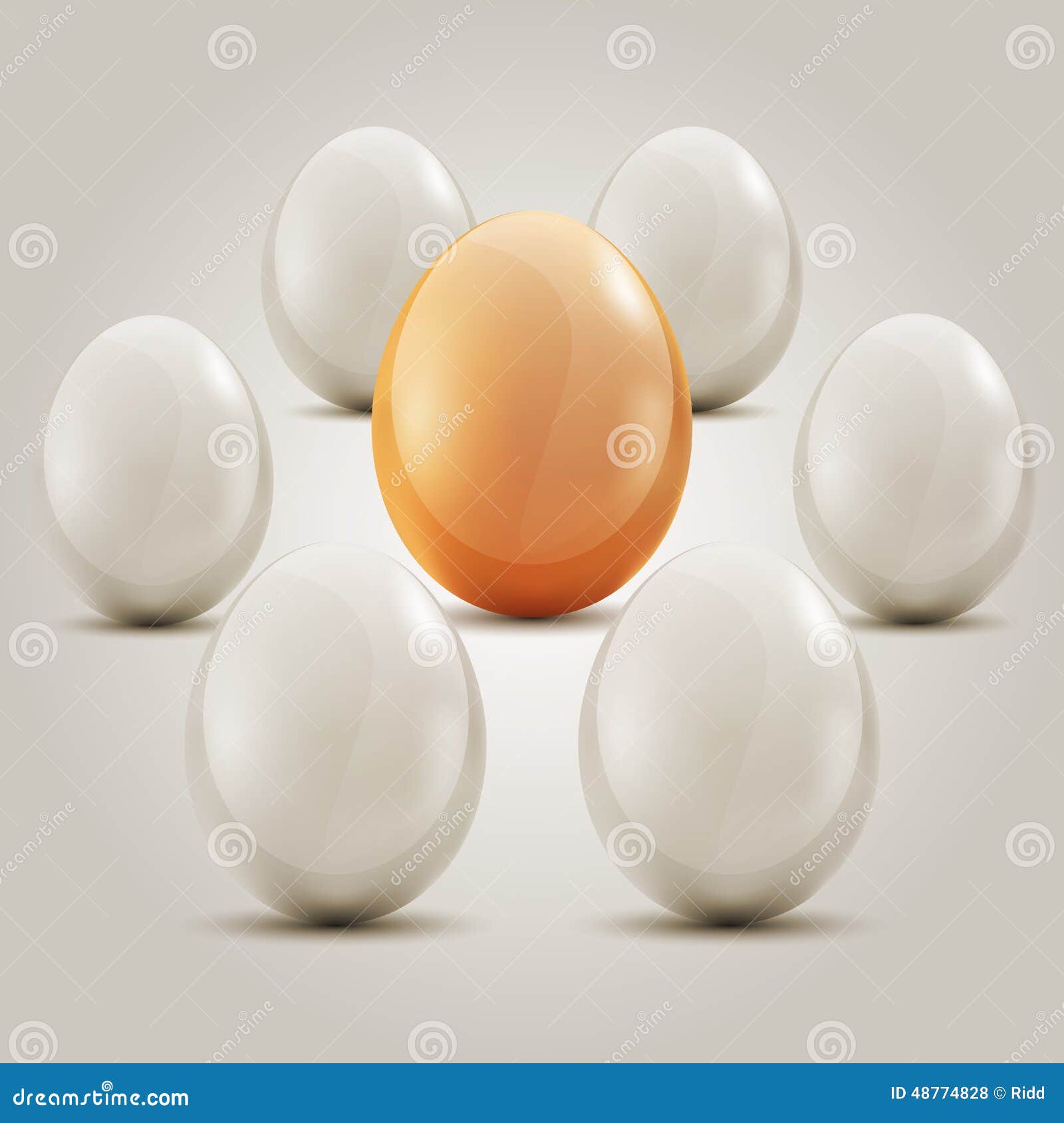Eggs in the circle stock vector. Illustration of shiny - 48774828