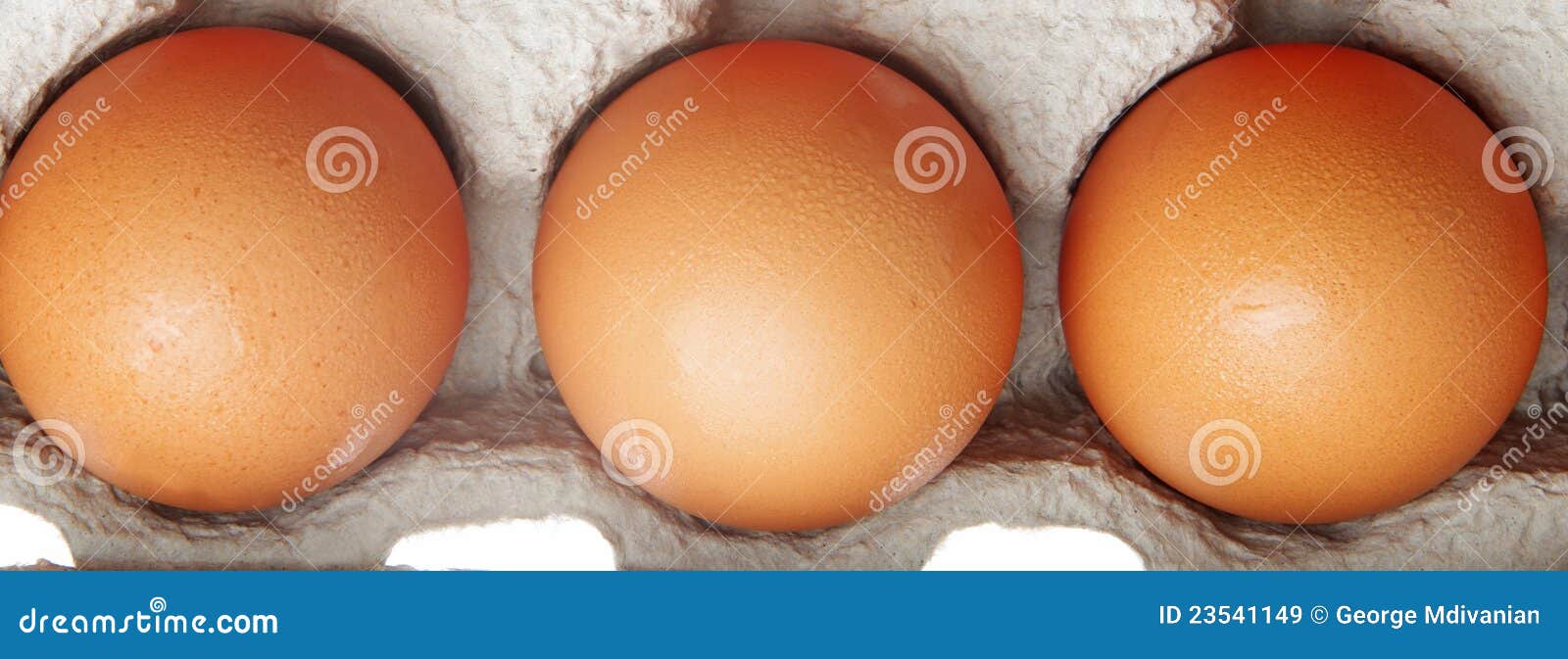 Eggs closeup stock image. Image of product, cuisine, poultry - 23541149