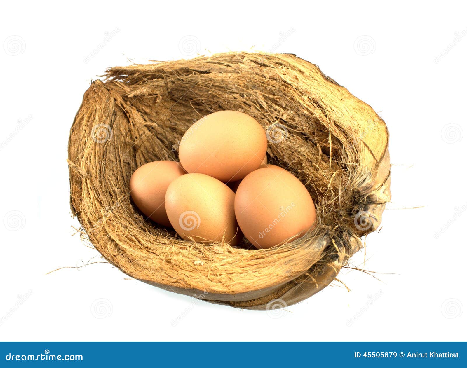 Eggs on coir stock image. Image of commodity, food, organic - 45505879