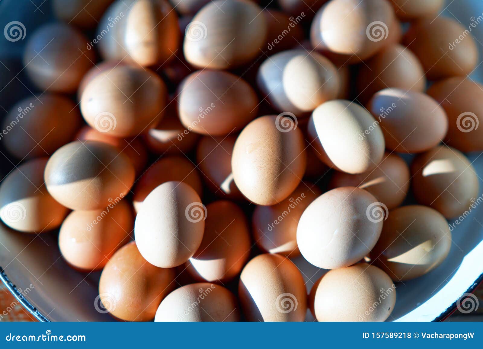 Eggs in Container in Sun Shade Stock Photo - Image of freshness, group ...