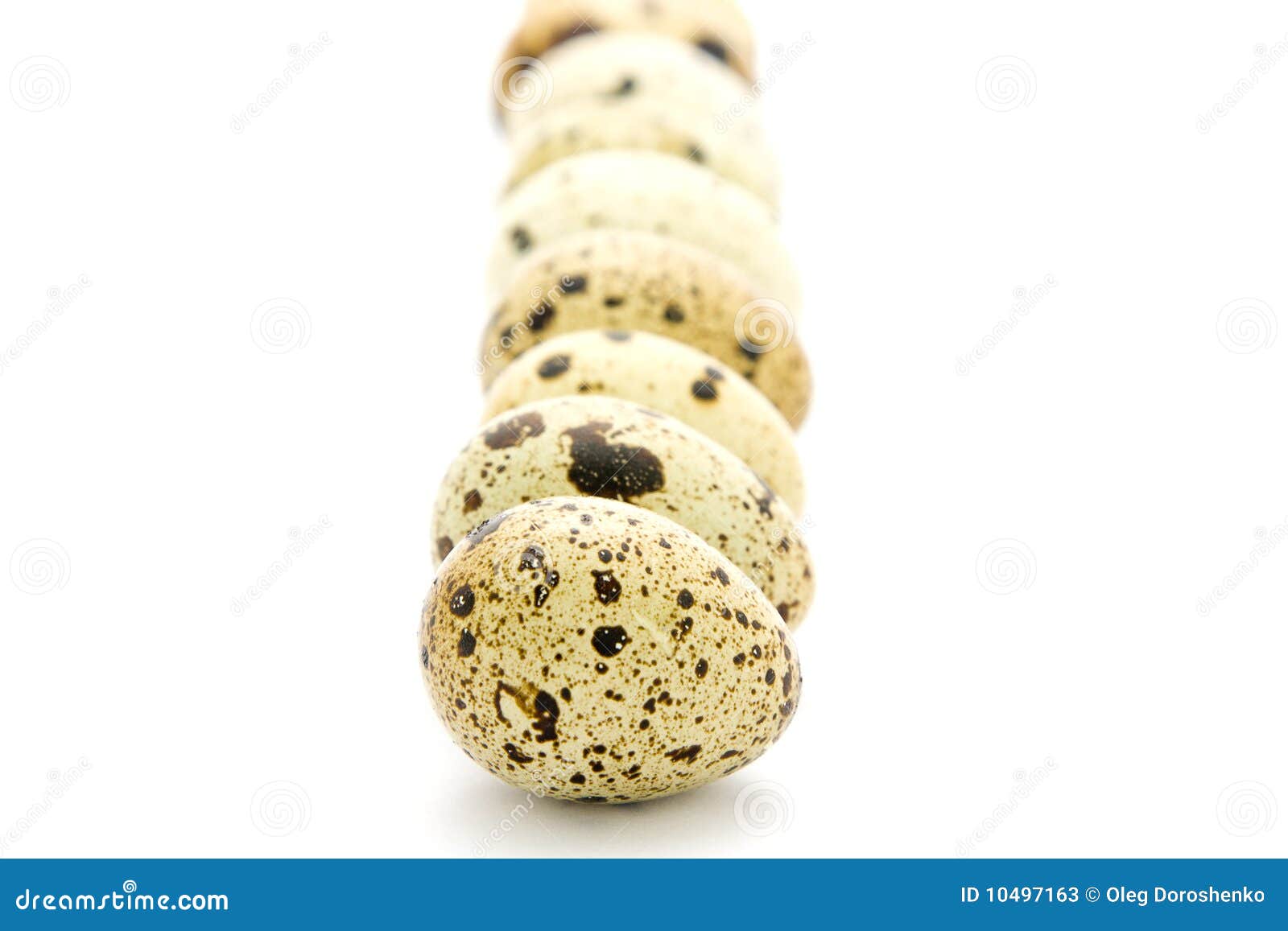 Eggs des cailles image stock. Image du brunch, poule - 10497163