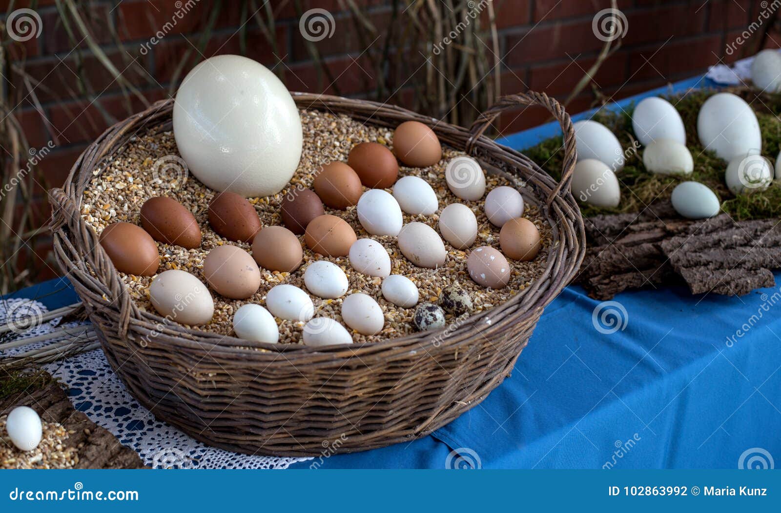 Eggs from different birds stock photo. Image of breakfast - 102863992