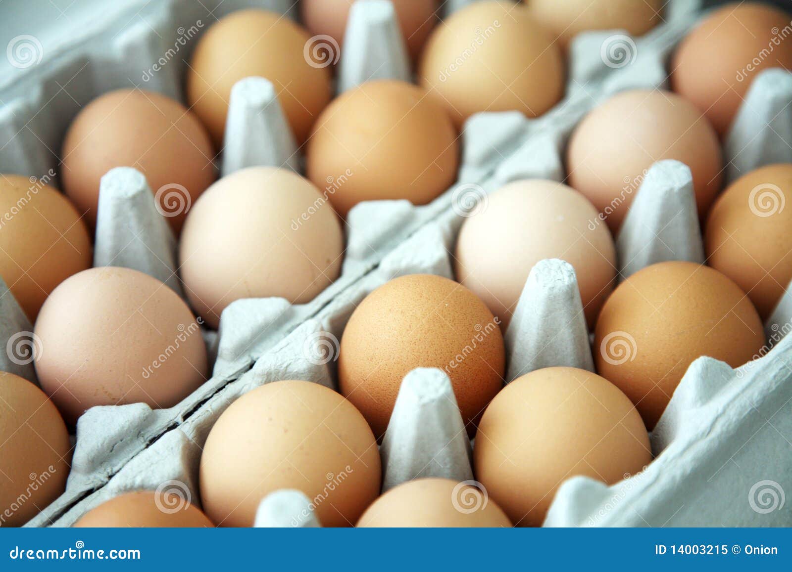 Eggs in an egg box stock image. Image of life, freshness - 14003215