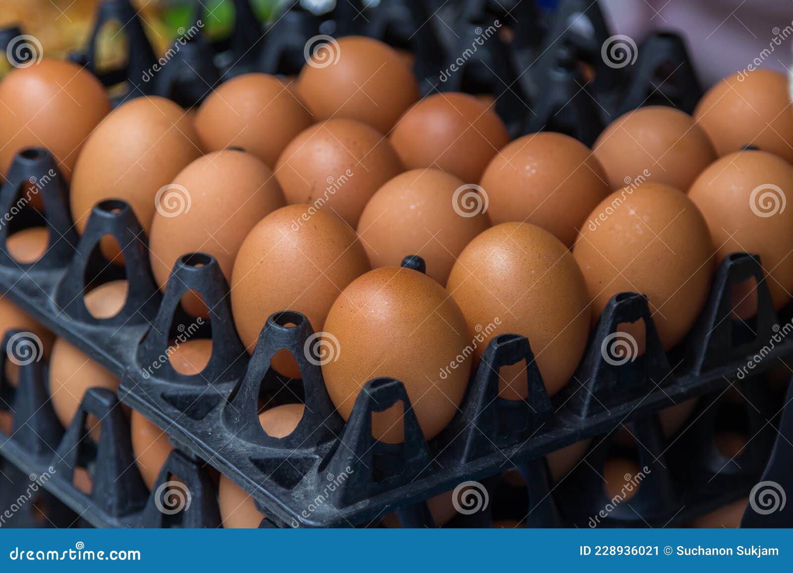 Eggs in egg box stock image. Image of eggs, eggshell - 228936021