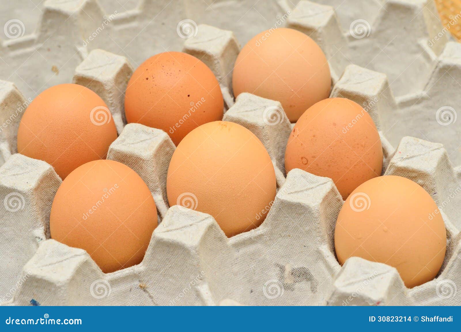 7 Eggs in egg box stock photo. Image of factory, healthy - 30823214