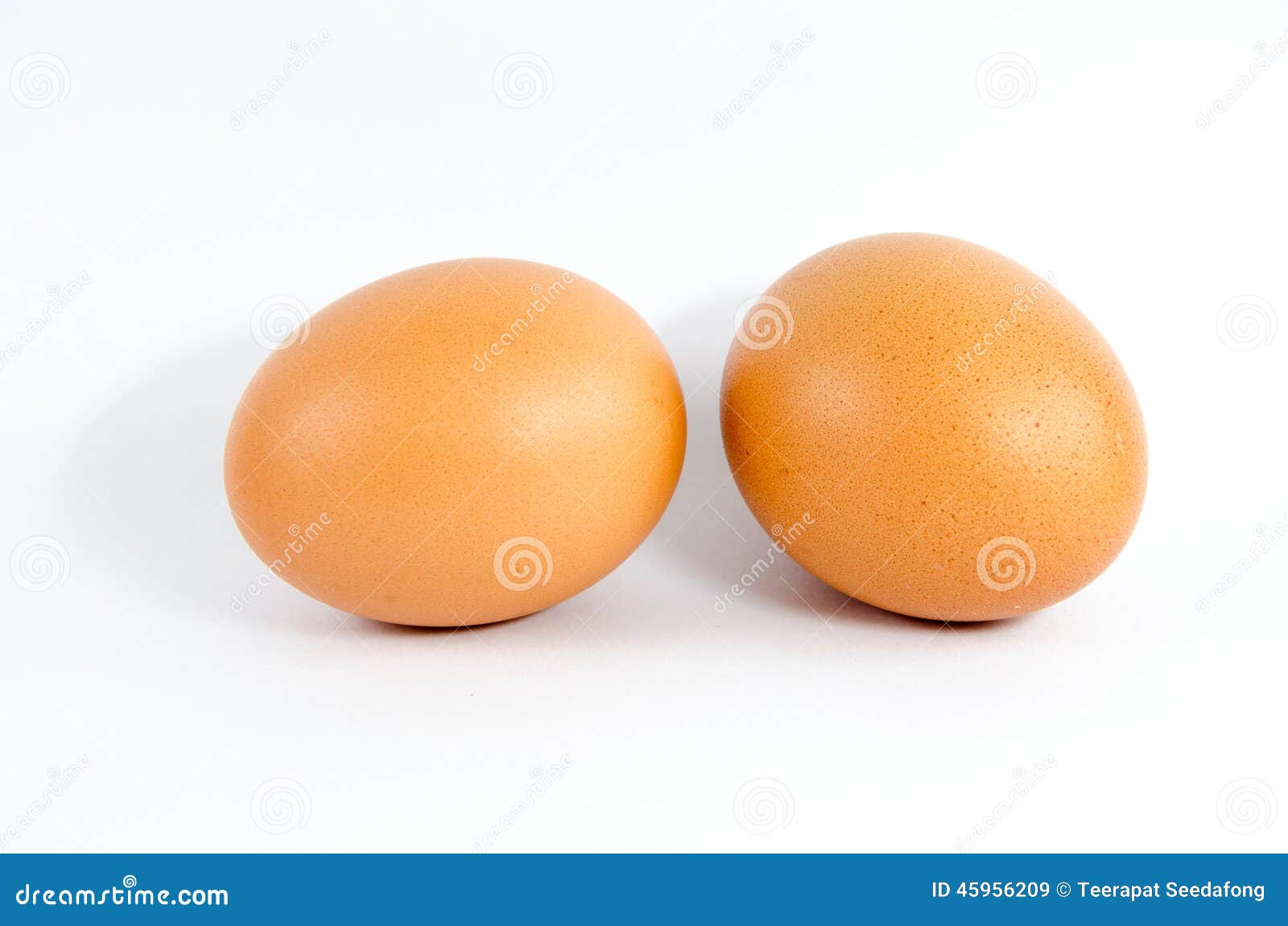 Eggs stock image. Image of nature, healthy, groceries - 45956209