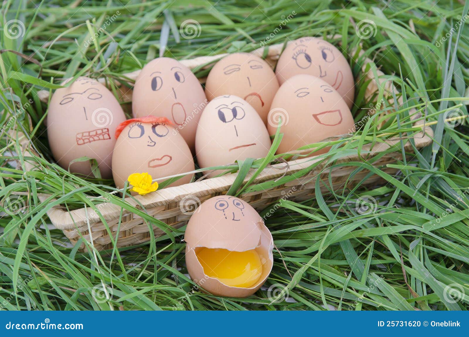 Eggs family stock photo. Image of fresh, spring, paint - 25731620