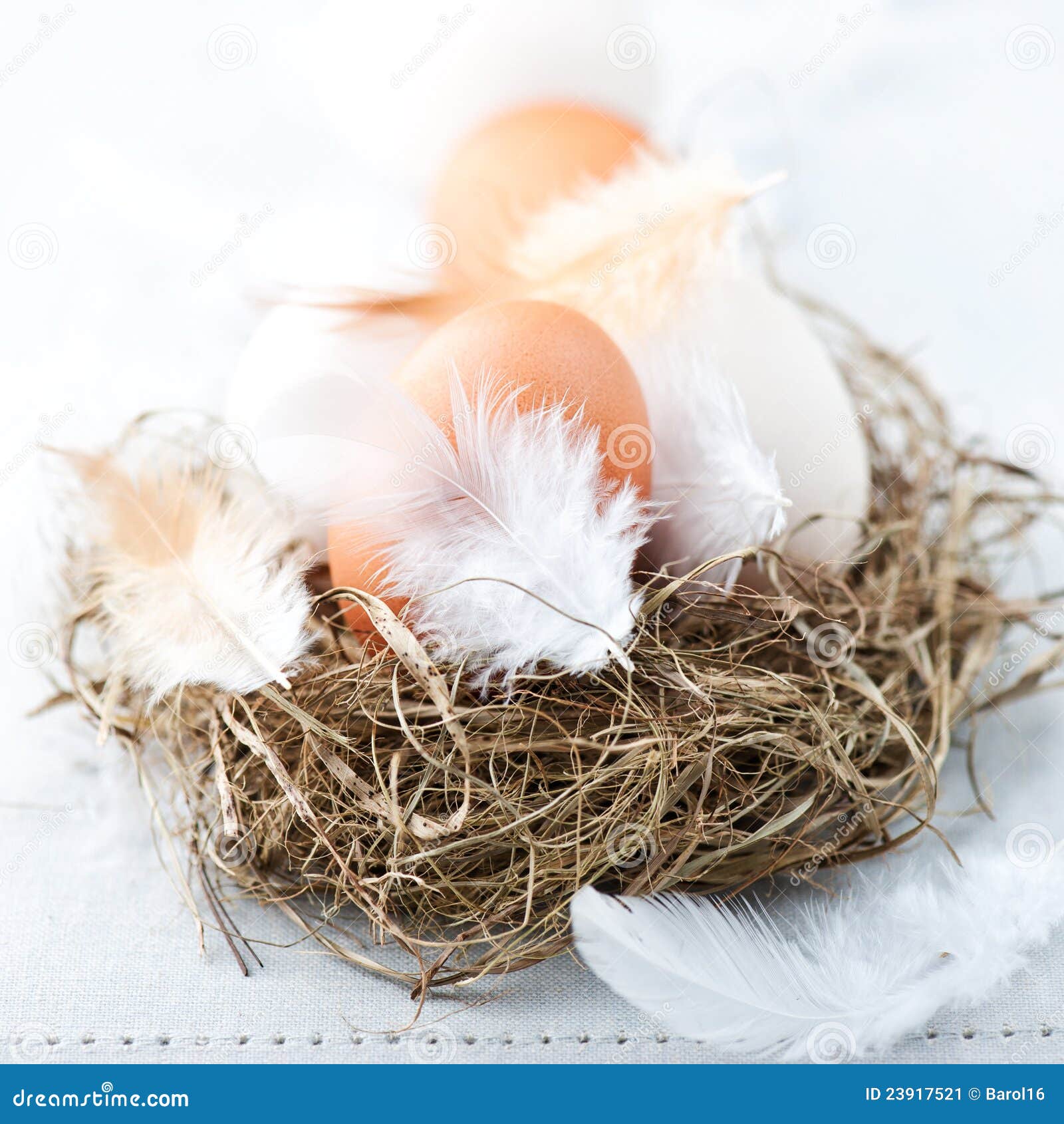 Eggs and Feathers in a Easter Nest Stock Image - Image of eggs, nest ...