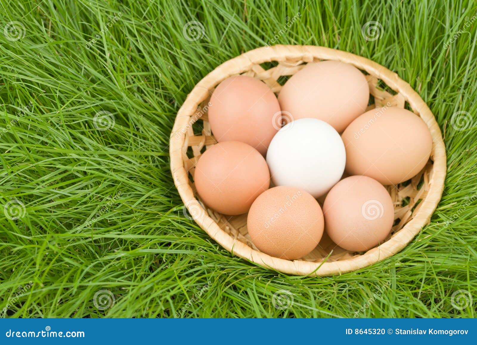 Eggs & grass stock photo. Image of traditional, food - 8645320