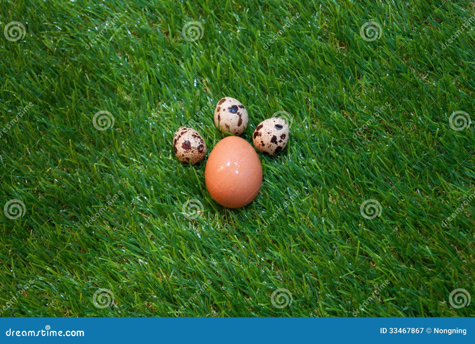 Eggs on grass stock image. Image of nature, holiday, grass - 33467867