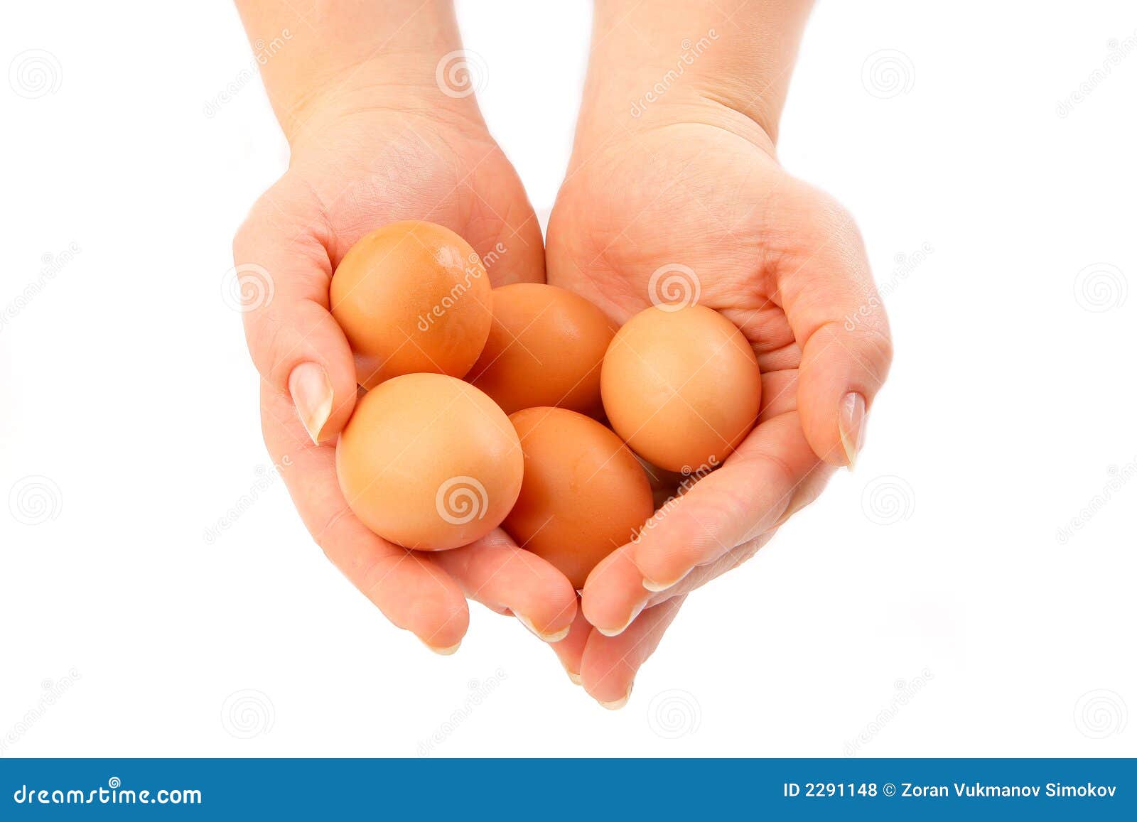 Eggs In Hands Picture. Image: 2291148