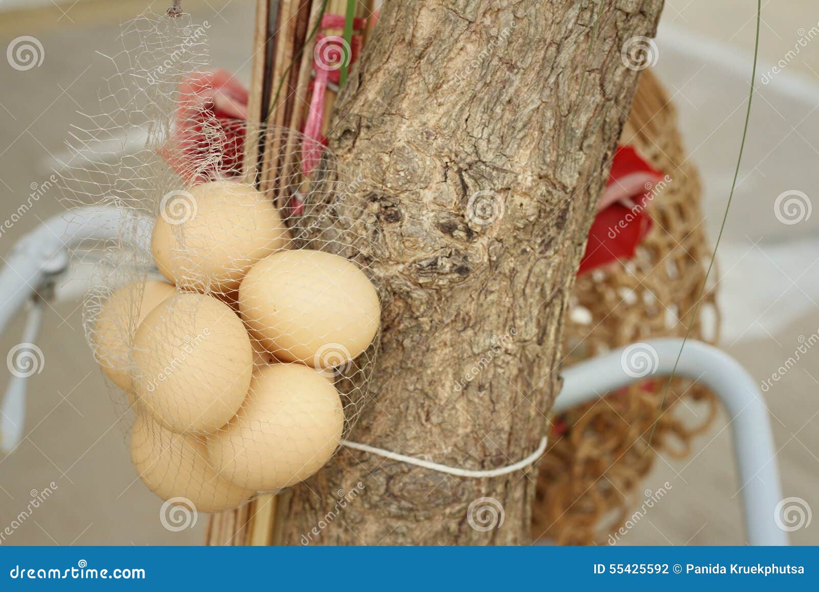 Eggs Hanging on a Tree at the Park. Stock Photo - Image of natural ...