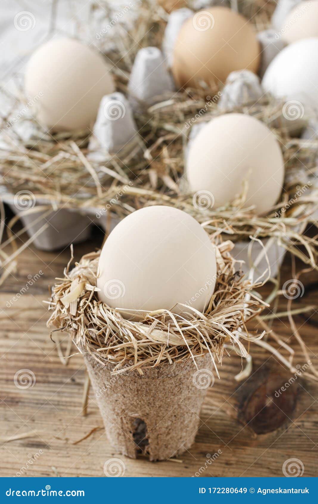 Eggs on hay stock image. Image of white, container, food - 172280649
