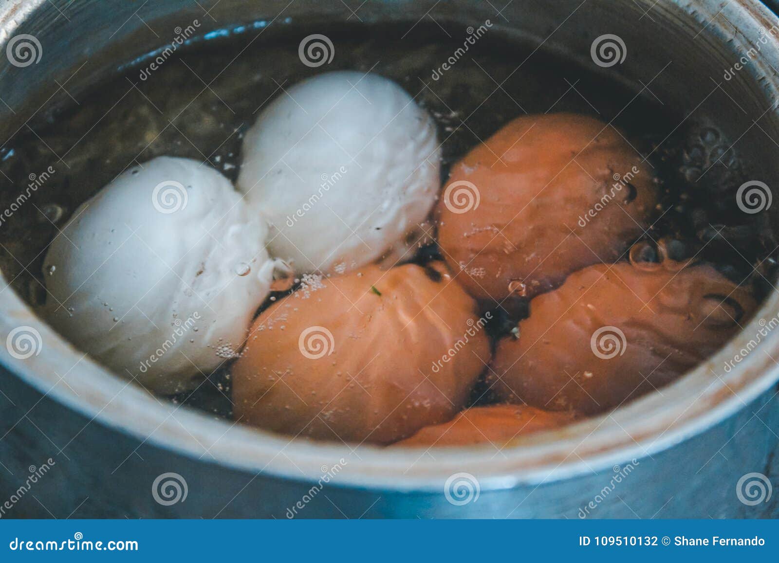 Boiling eggs in water stock photo. Image of nature, biology - 109510132