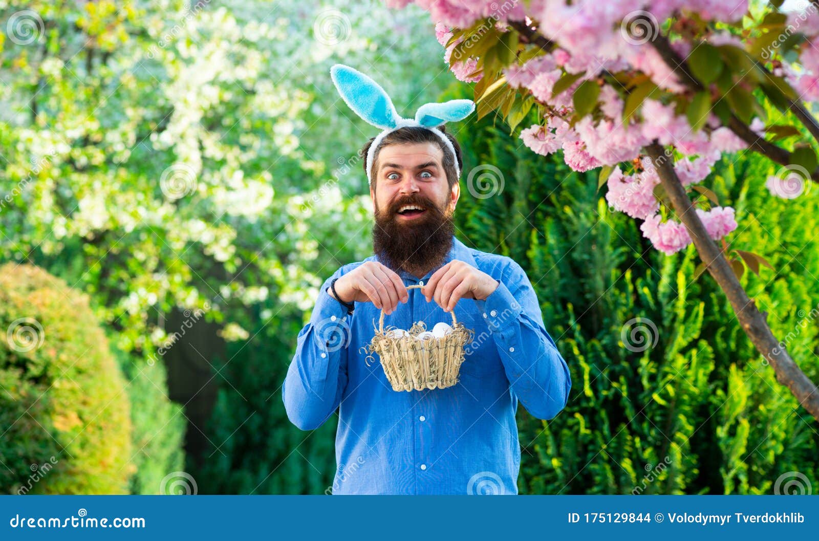 Eggs Hunt. Man in Bunny Ears Holds Easter Egg. Rabbit Man. Man with ...