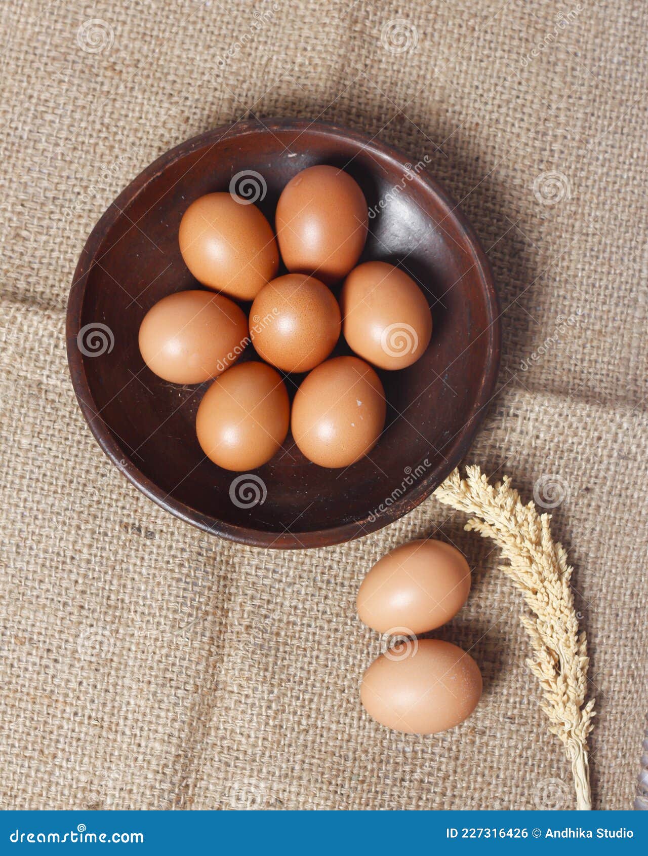 Eggs Isolated on a Bright Background. Front Photo. Egg Wallpapers Stock ...