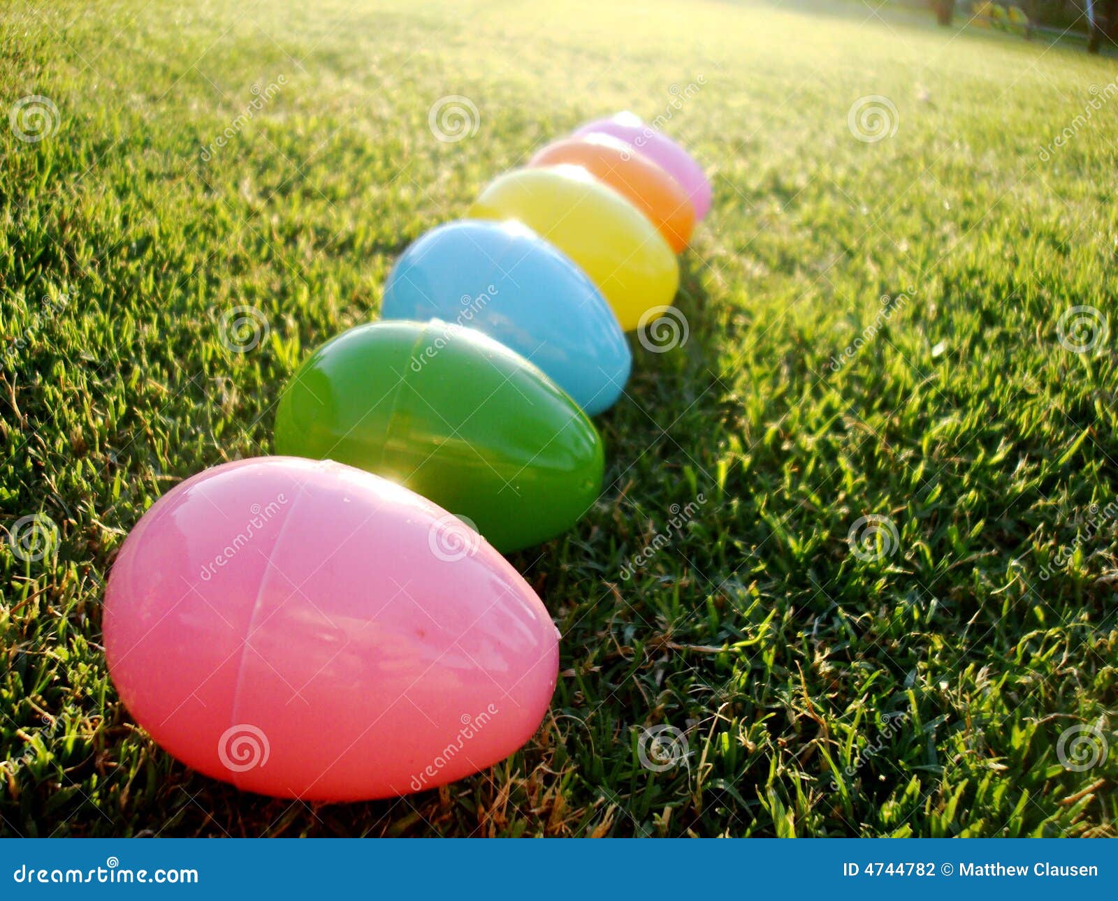 Eggs on the Lawn stock photo. Image of hope, festive, children - 4744782