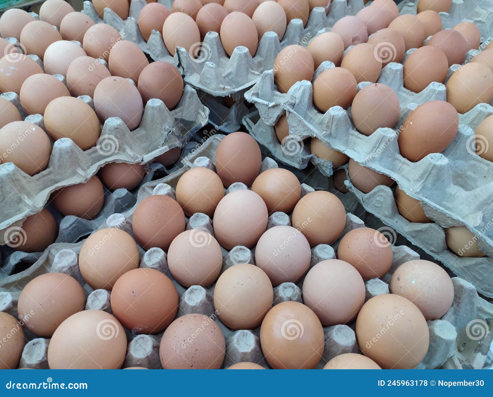 Eggs at the market stock photo. Image of cardboard, poultry - 245963178