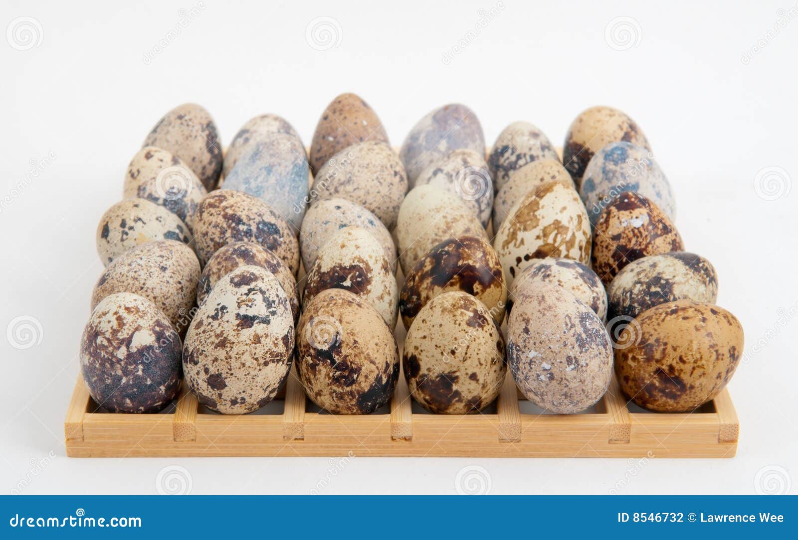 Eggs Matrix stock photo. Image of upright, small, aligned - 8546732