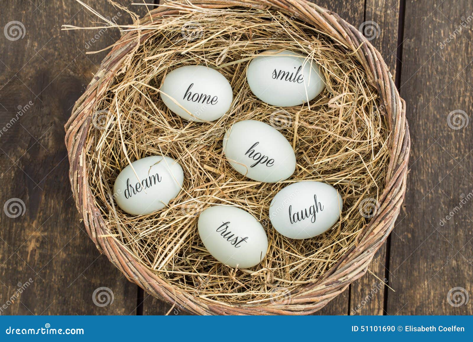 Eggs with messages stock photo. Image of decoration, written - 51101690