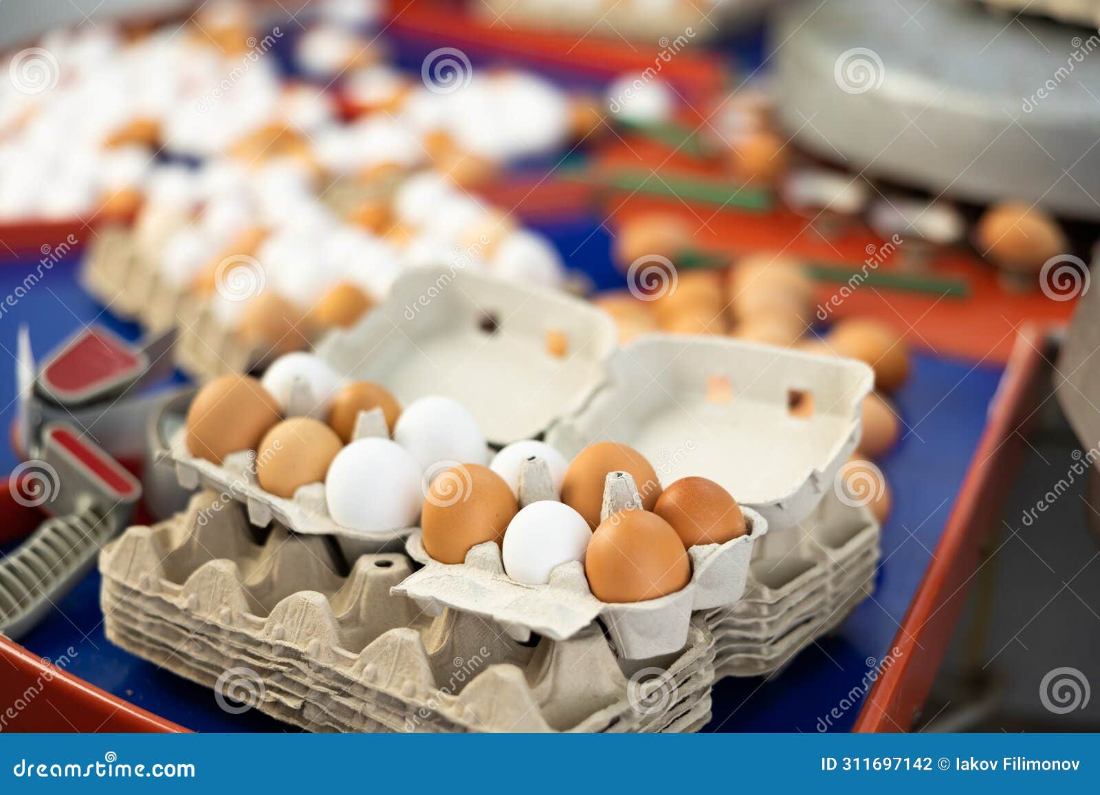 Eggs in Modernized Sorting Shop Stock Photo - Image of eggtray ...