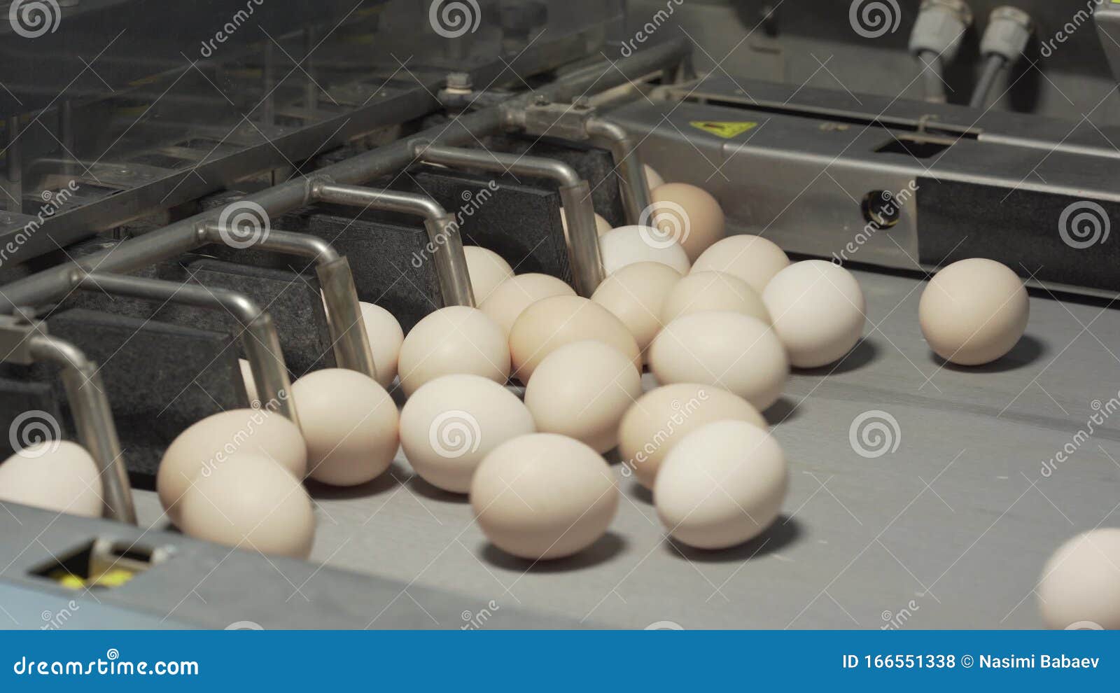 Fresh Egg Grading and Sorting Machine. Factory Chicken Egg Production ...