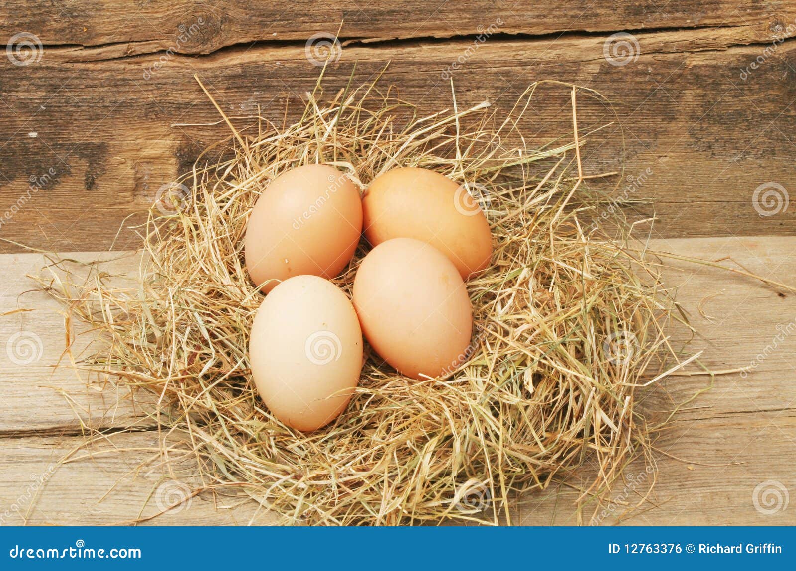 Eggs in a nest stock photo. Image of nest, weathered - 12763376