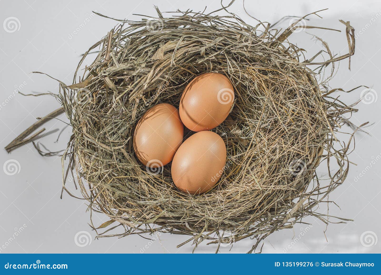 Eggs stock photo. Image of kitchen, eggs, healt, healthy - 135199276