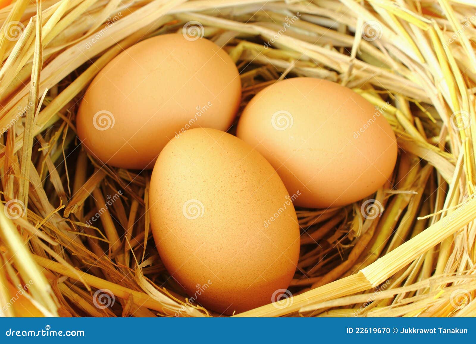 Eggs in the nest. stock photo. Image of basket, wooden - 22619670