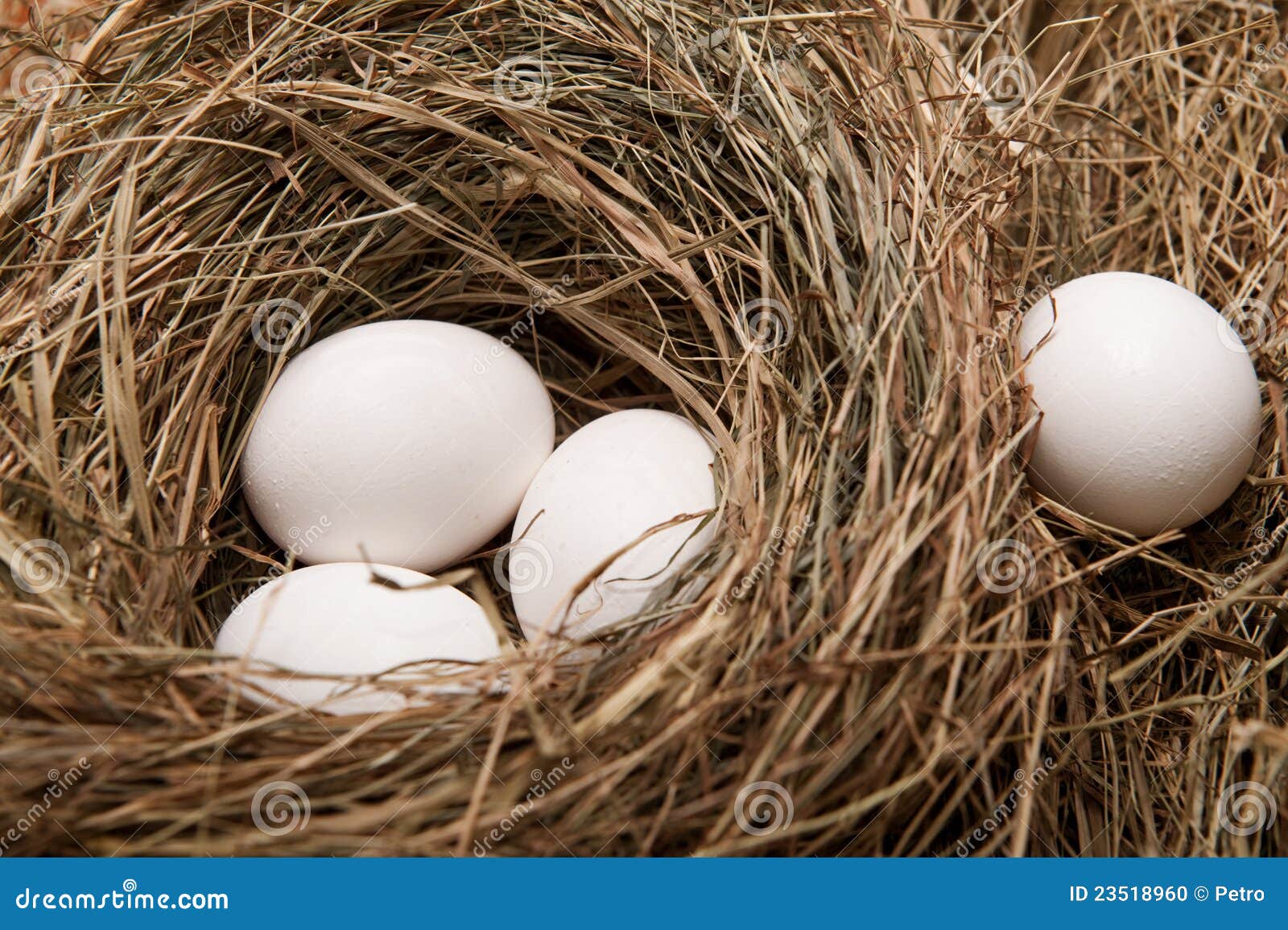 Eggs in nest stock photo. Image of three, objects, farming - 23518960