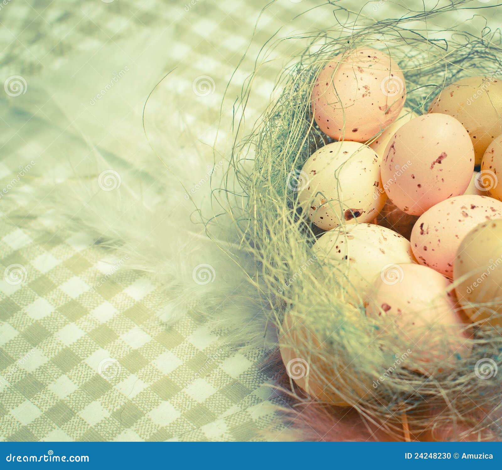 Eggs in nest stock photo. Image of healthy, nutrition - 24248230