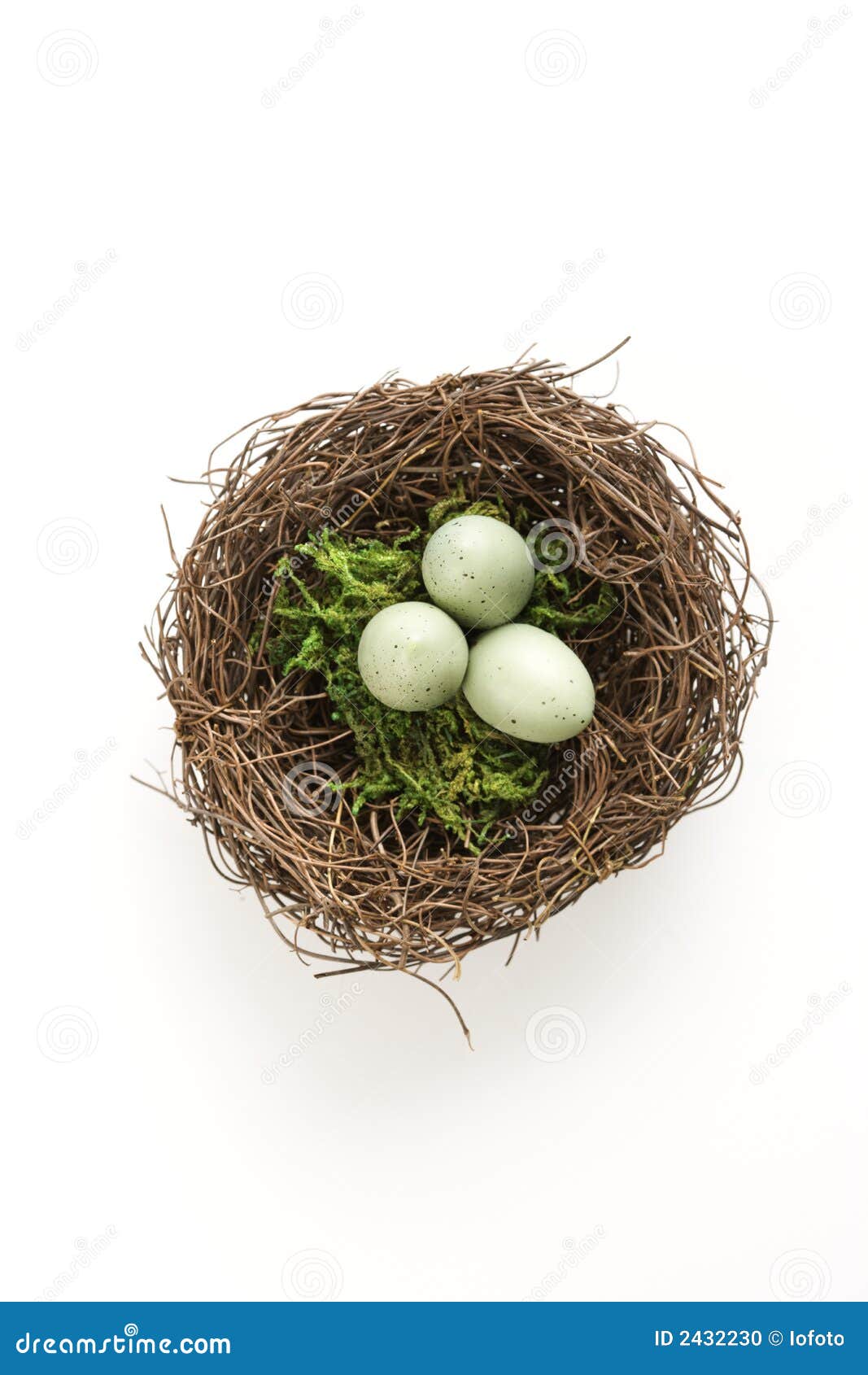 Eggs in nest. stock photo. Image of security, animals - 2432230