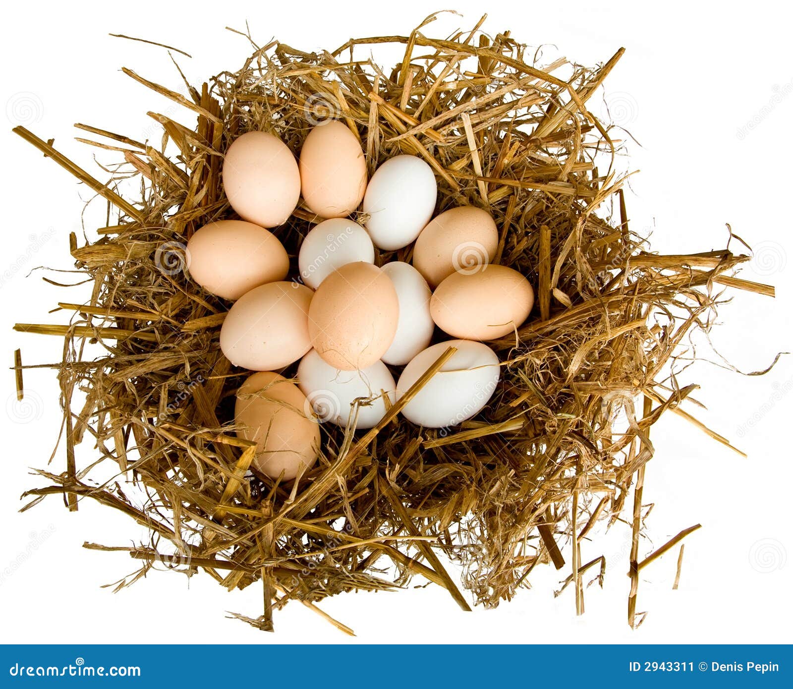 Eggs in a Nest stock image. Image of aliment, white, circular - 2943311