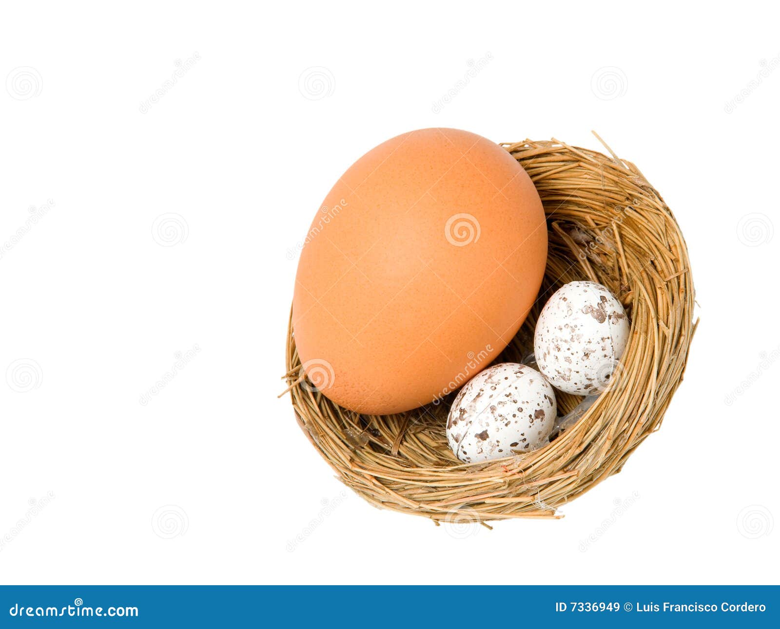 Eggs in a nest stock image. Image of home, create, closeup - 7336949