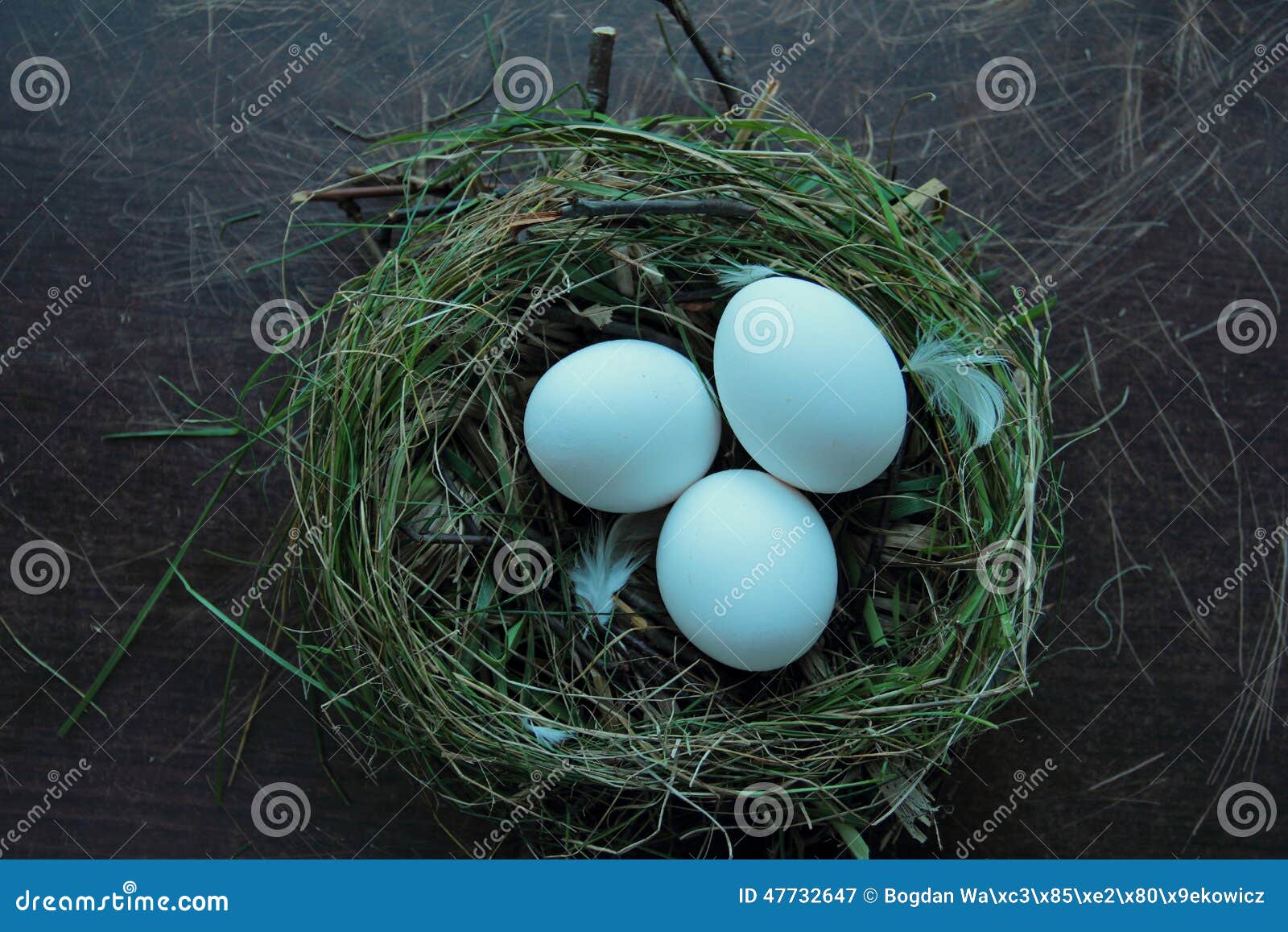 Eggs in a nest stock image. Image of rural, farming, farm - 47732647