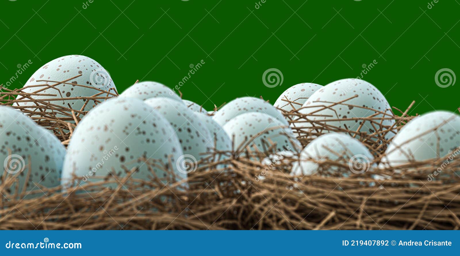 Eggs in a Nest Isolated on Green Stock Illustration - Illustration of ...