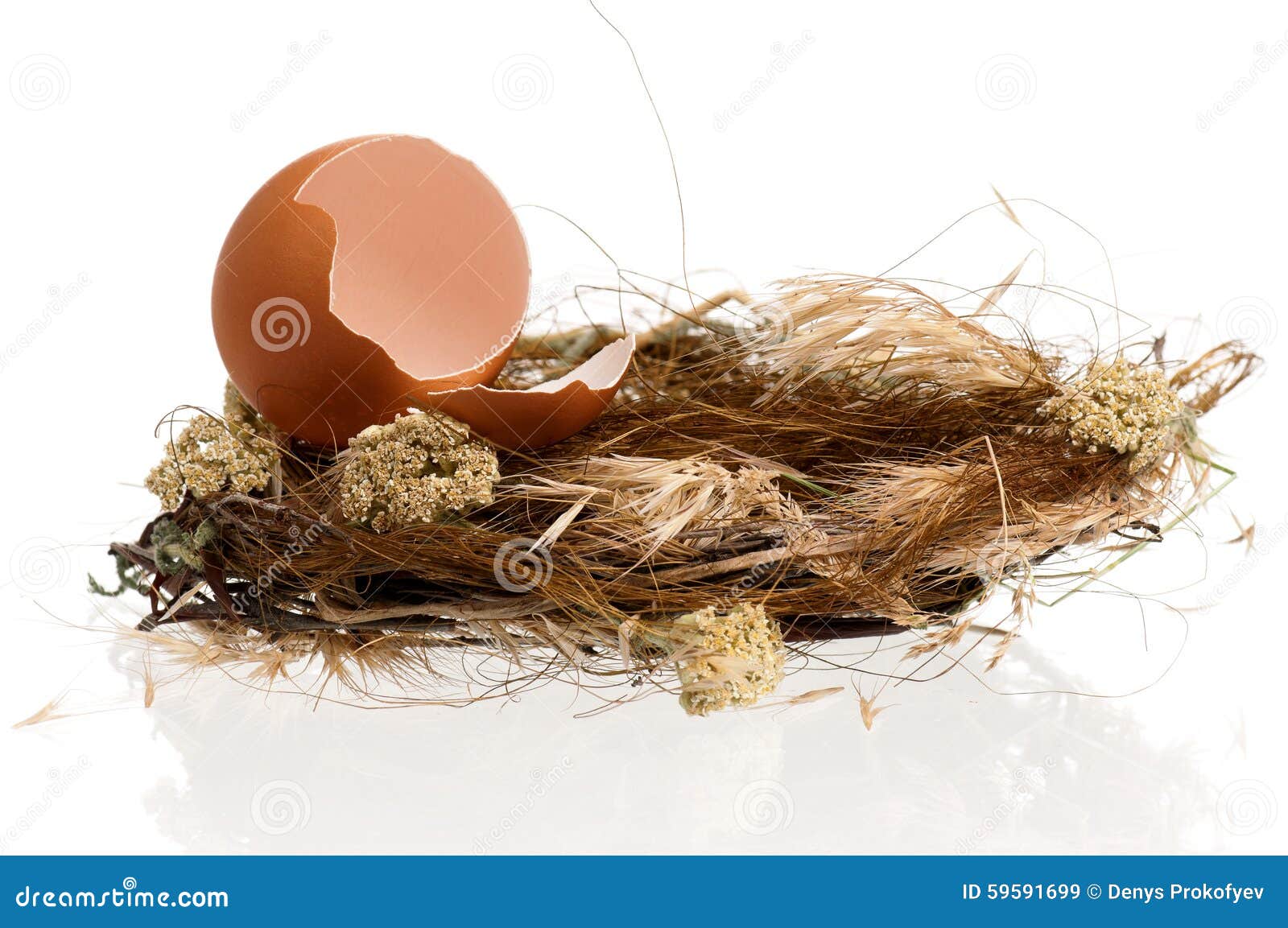 Eggs in nest stock image. Image of shell, fresh, ingredient - 59591699