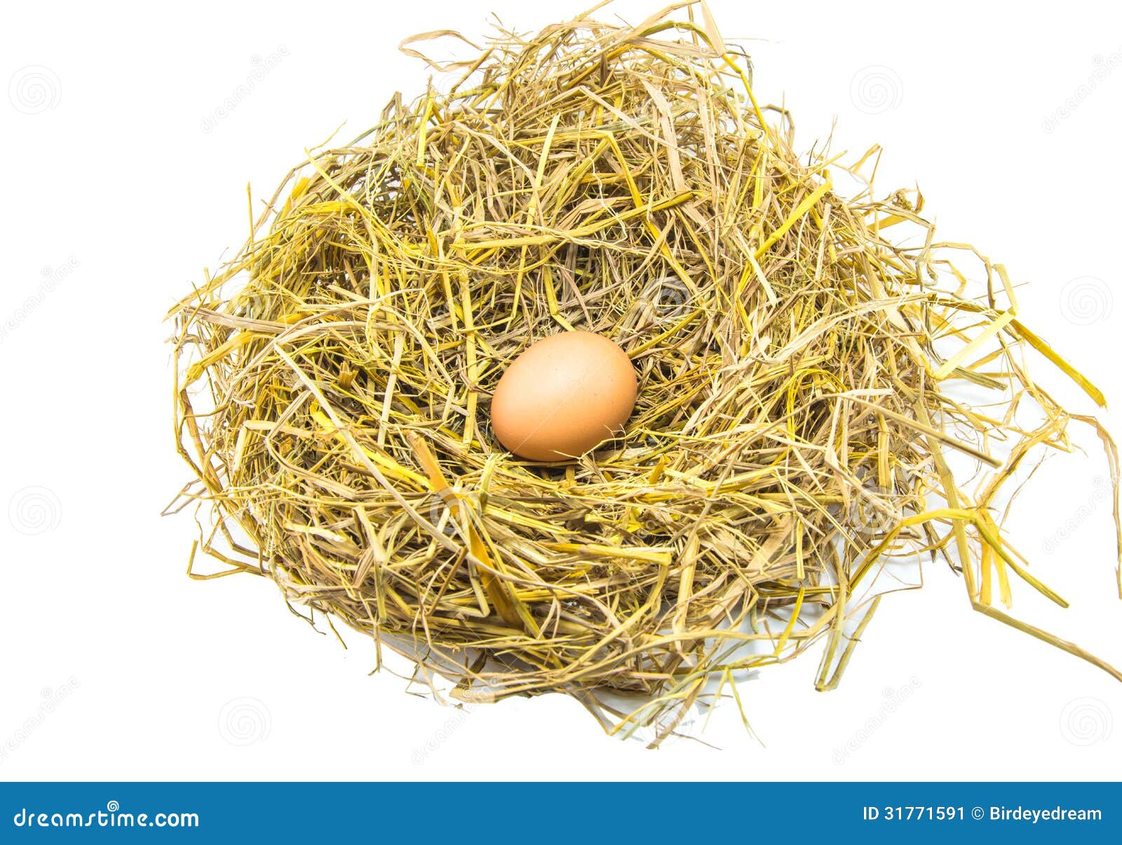 Eggs in the nest stock image. Image of birth, easter - 31771591