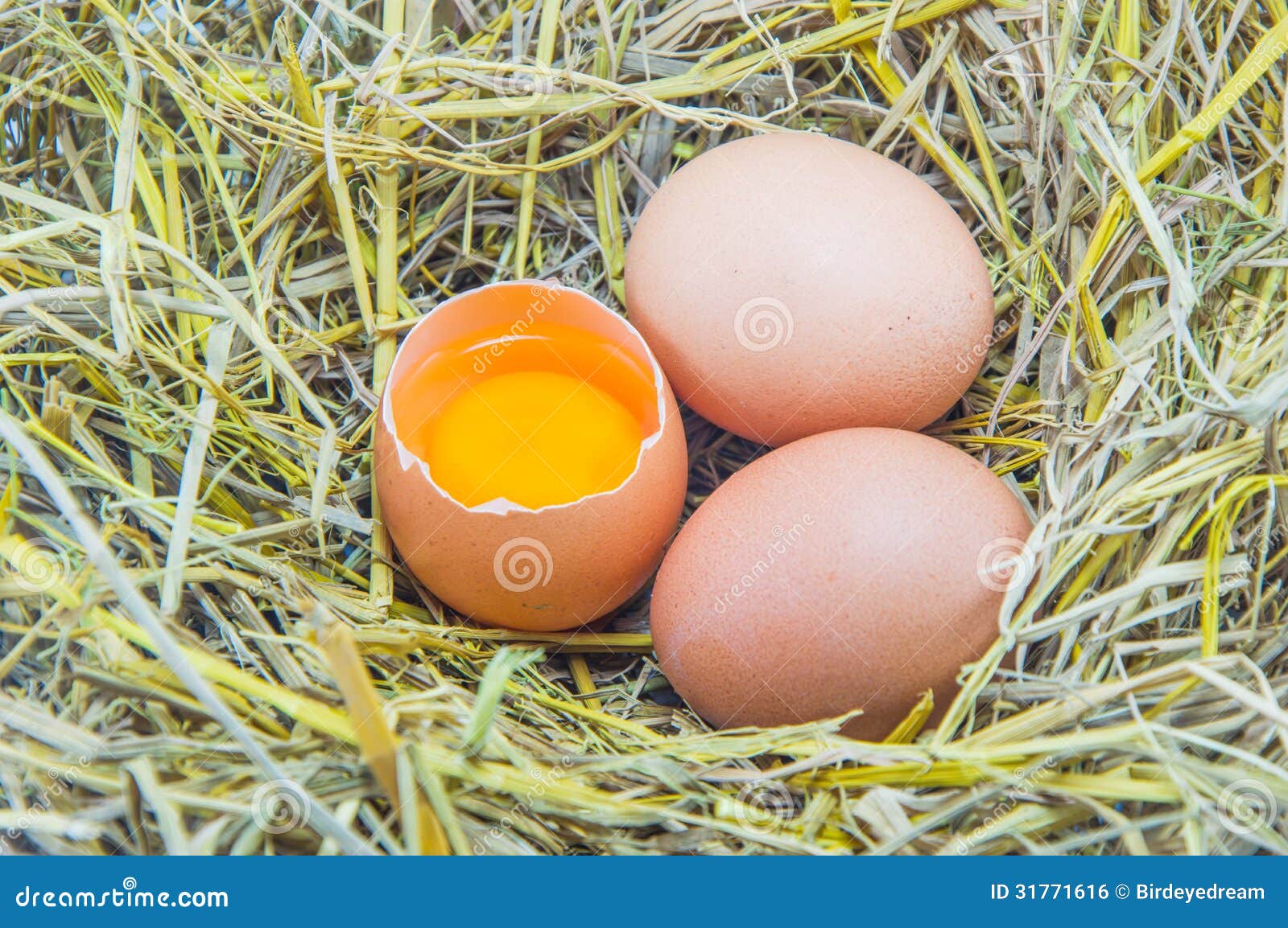 Eggs in the nest stock photo. Image of three, path, concept - 31771616