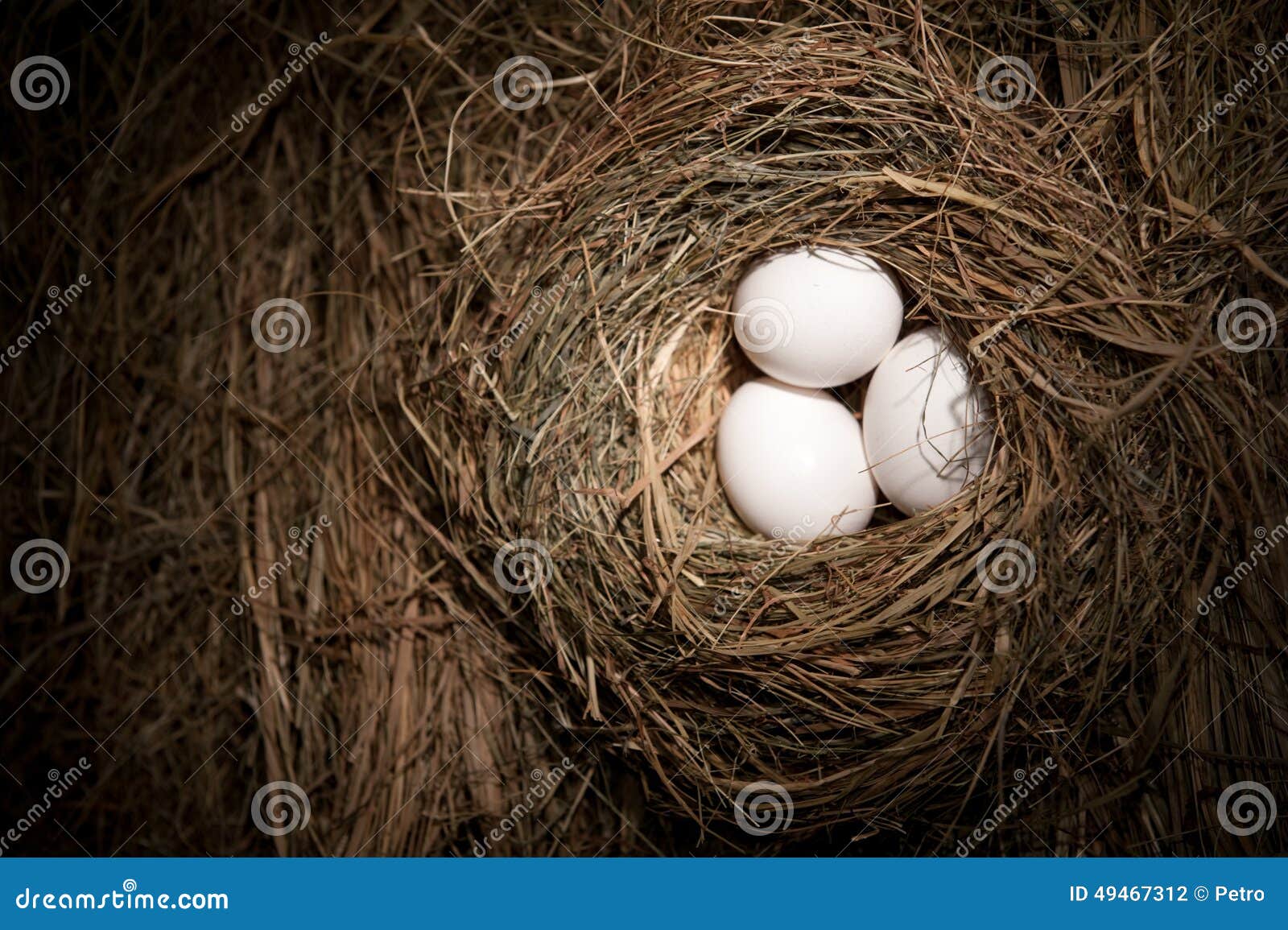 Eggs in nest stock photo. Image of summer, wild, three - 49467312