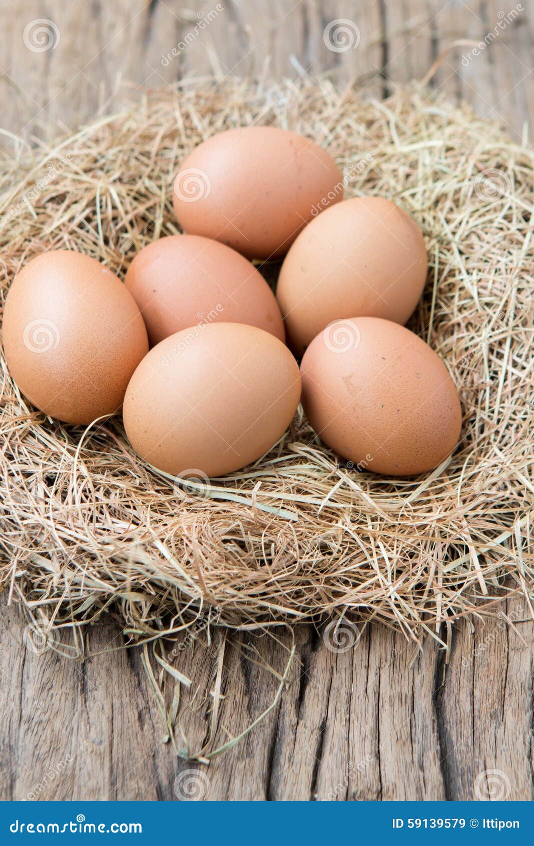 Eggs on net stock image. Image of eggshell, fresh, eggs - 59139579