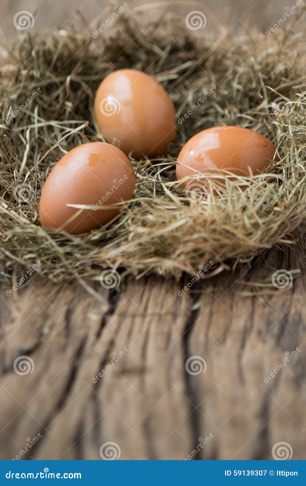 Eggs on net stock image. Image of healthy, ingredient - 59139307