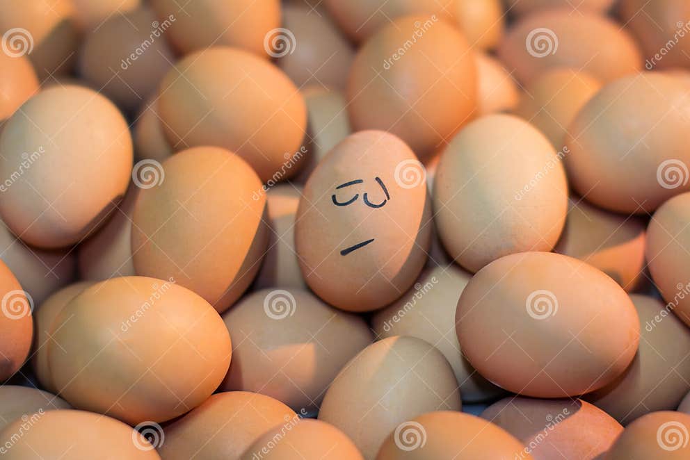 Eggs with Not Interested Face on Sunset Light Stock Image - Image of ...