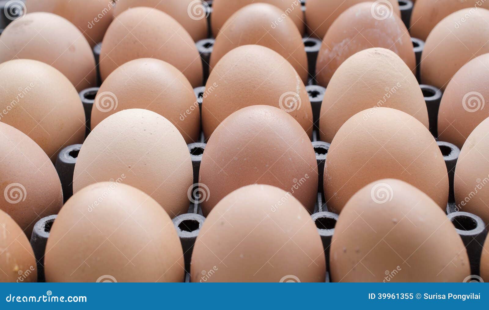 Eggs stock image. Image of breakfast, eggshell, easter - 39961355
