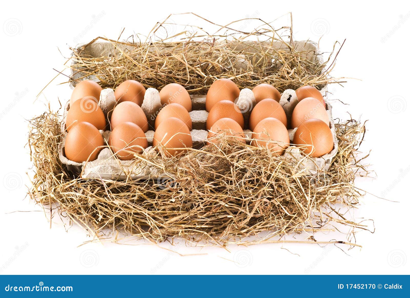 Eggs in pack stock photo. Image of ingredient, healthy - 17452170
