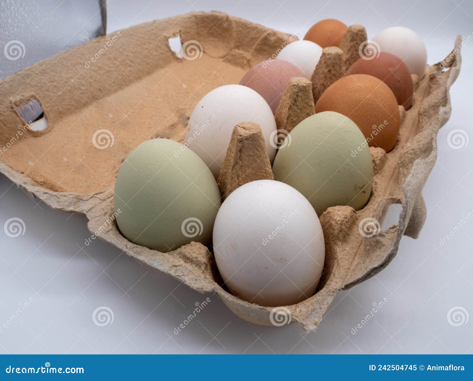 Eggs in a pack isolated stock image. Image of colorful - 242504745