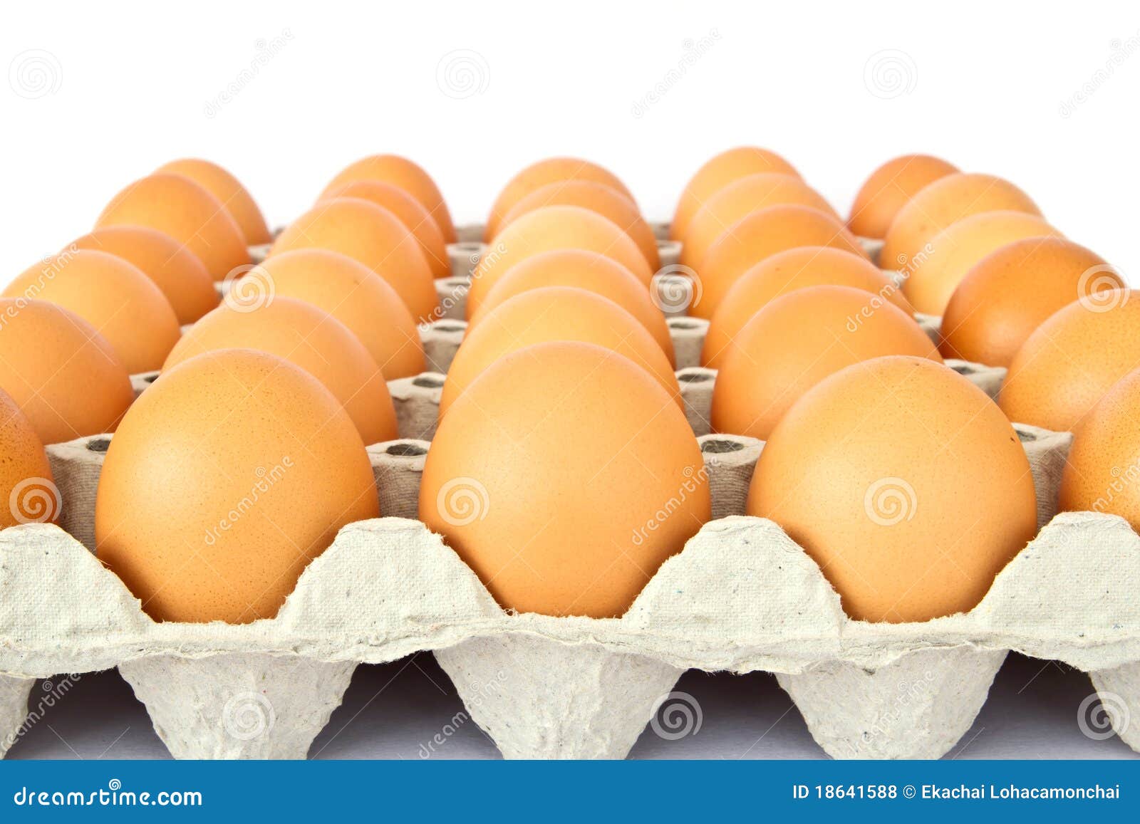 Eggs in a package stock photo. Image of fresh, food, foodstuff - 18641588