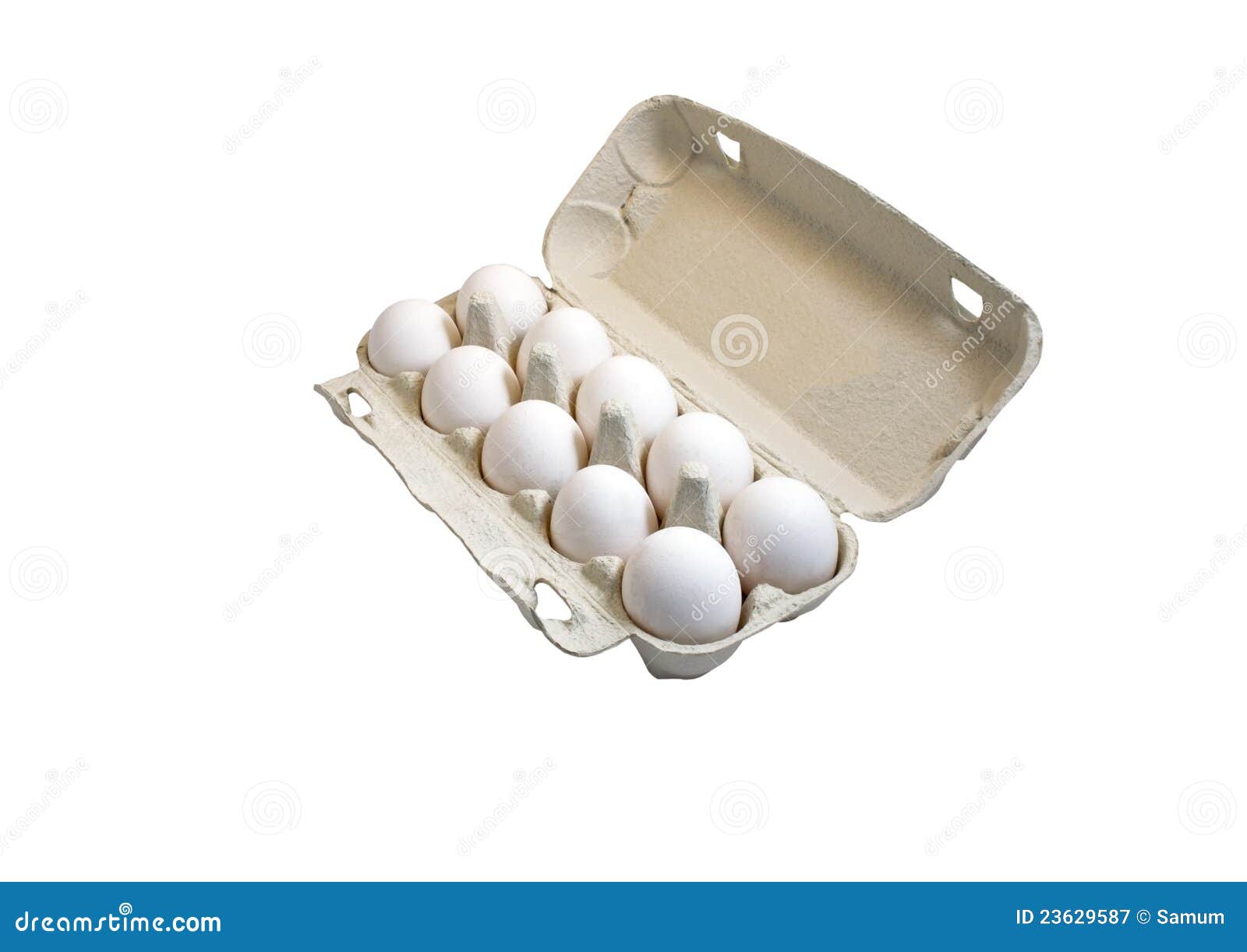 Eggs in the package stock image. Image of closeup, single - 23629587