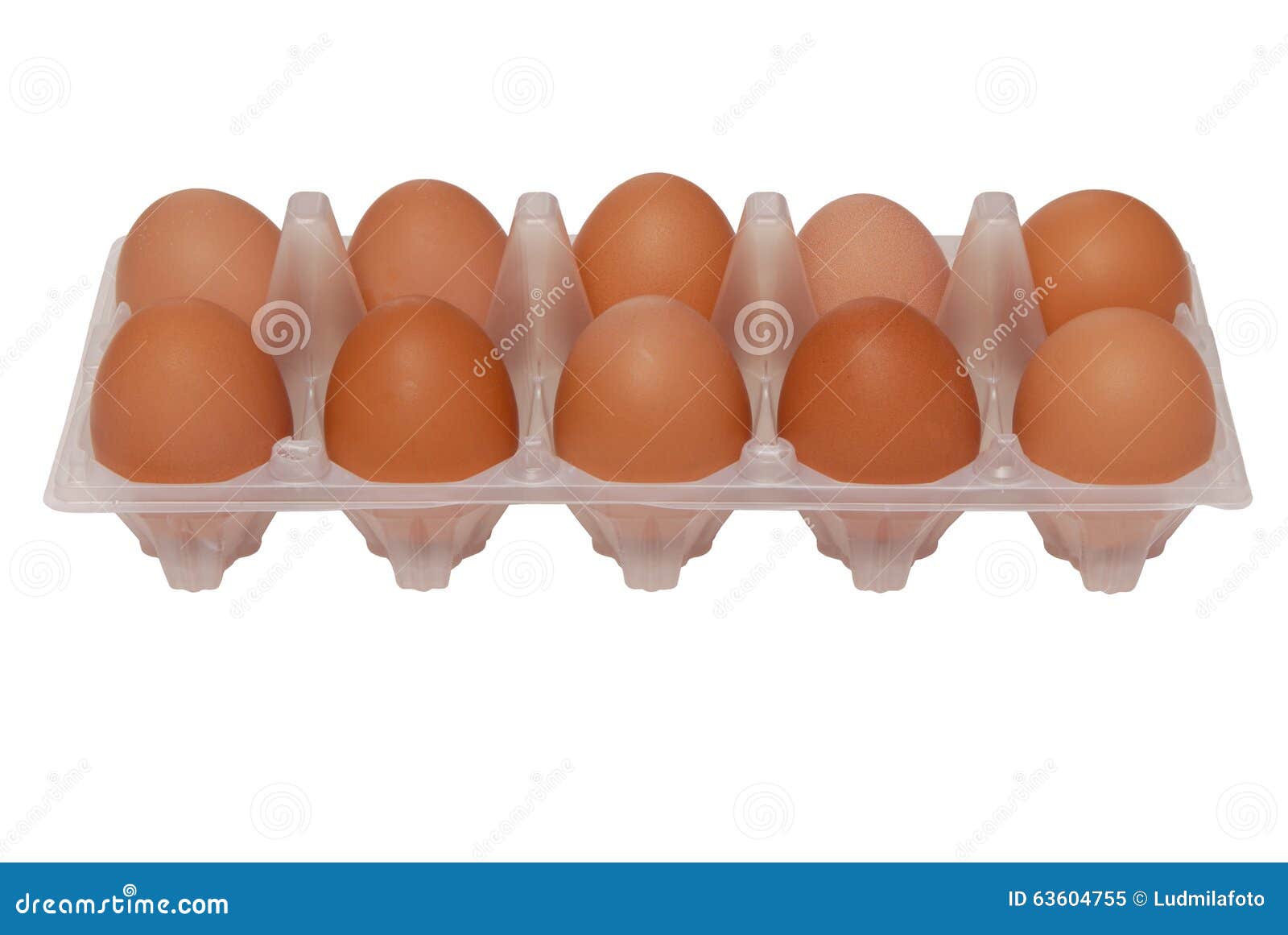 Eggs in package stock image. Image of chicken, farm, food - 63604755